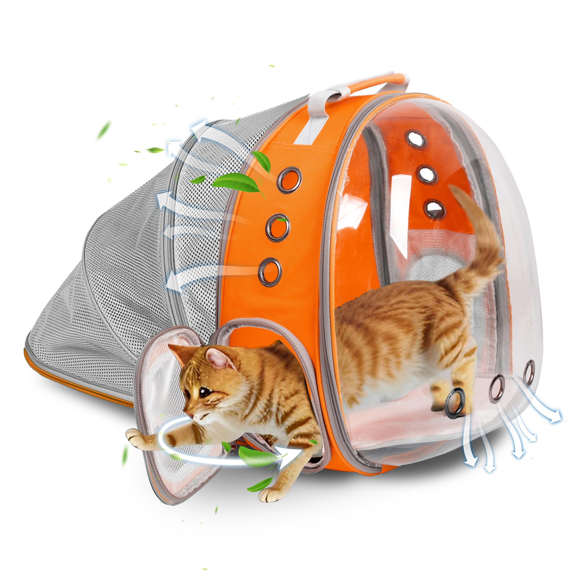 TOYSINTHEBOX Cat Backpack Carrier, Expandable Pet Bubble Backpack for ...