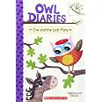 Amazon.com: Eva and the Lost Pony: A Branches Book (Owl Diaries #8) (8 ...