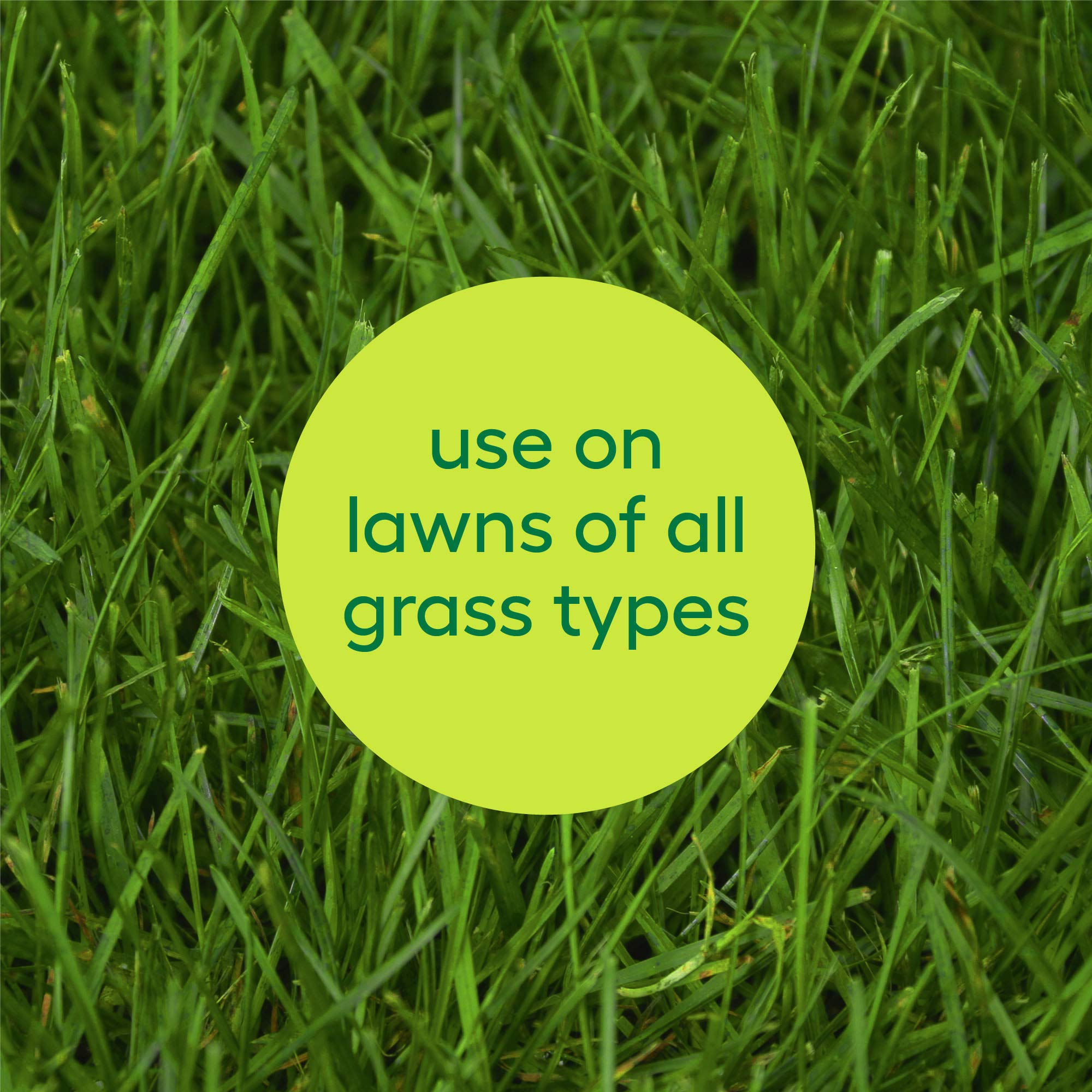 Mua AMAZE Lawn Food - Covers 5,000 sq. ft., Fertilizer Feeds for up to ...