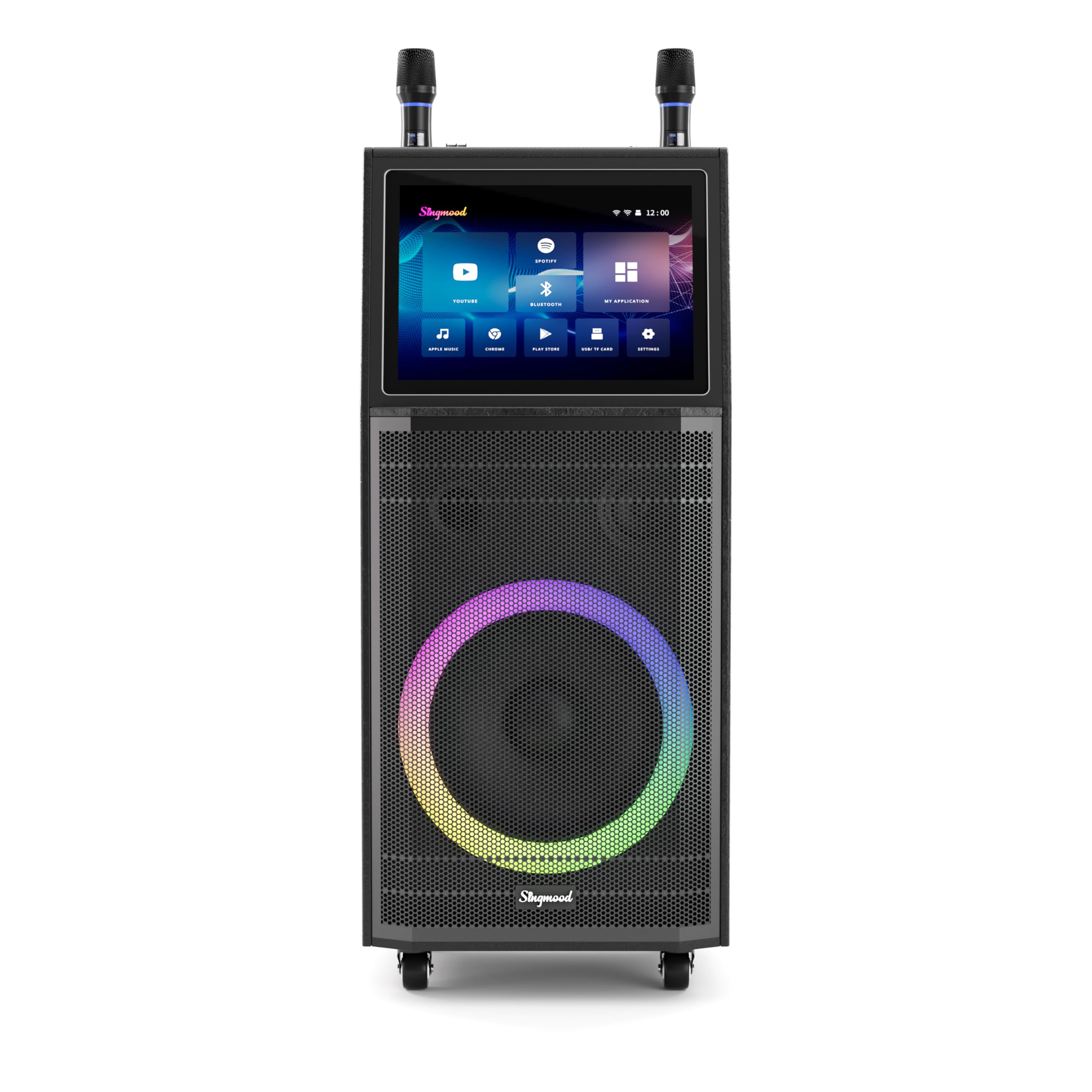 Portable Karaoke Machine for Adults with Lyrics Display Screen with 2 ...