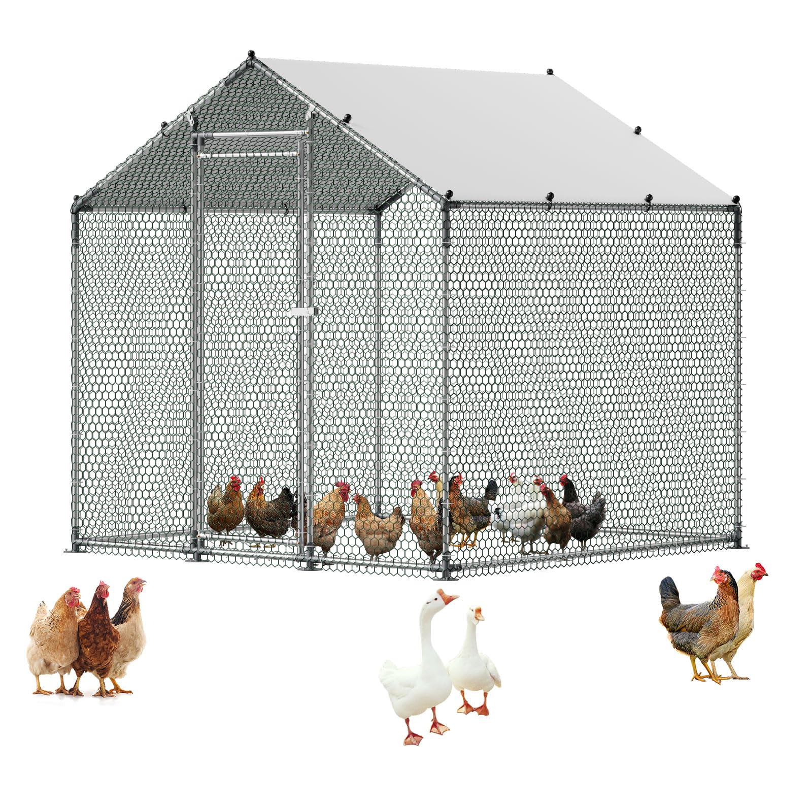 VEVOR Metal Chicken Coop, 6.56x6.56x6.56ft Walk in Chicken Runs with ...
