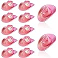 Amazon.com: Sotiff 12 Pcs Mini Cowboy Hats for Crafts Cute Miniature ...