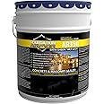 Armor AR350 Low Gloss Wet Look Concrete Sealer 5 Gallon - Professional Grade Color Enhancing ...
