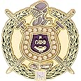 Amazon.com: Desert Cactus Omega Psi Phi Lapel Pins Fraternity Divine 9 ...