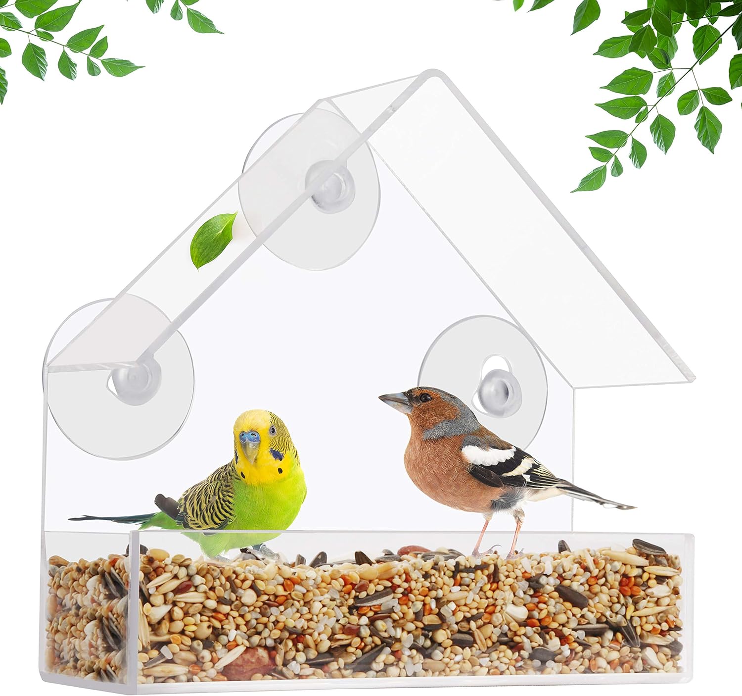 Volatili e piccoli animali del giardino Casetta Uccellini da Appendere ...