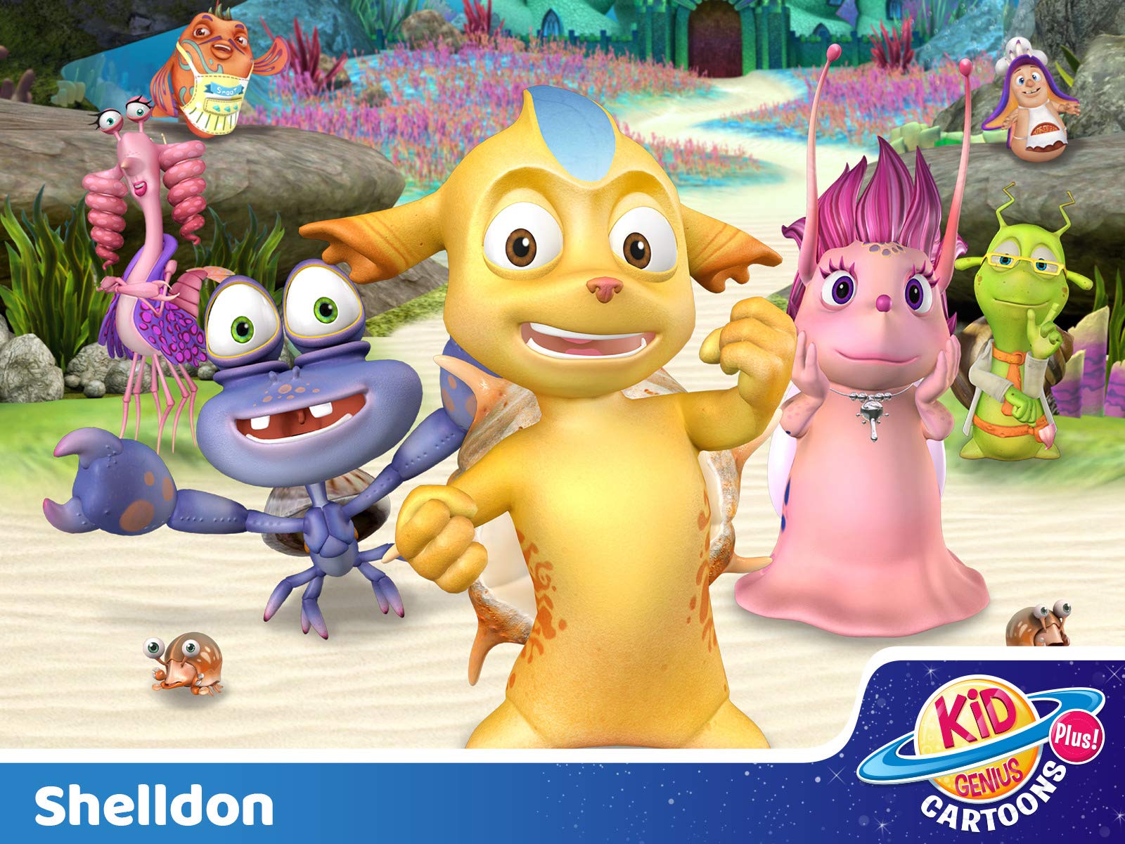 Watch Shelldon Season 1 | Prime Video