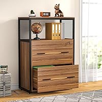 Amazon.com: TRIBESIGNS WAY TO ORIGIN 2 Drawer File Cabinet with Lock, Large Lateral Filing ...