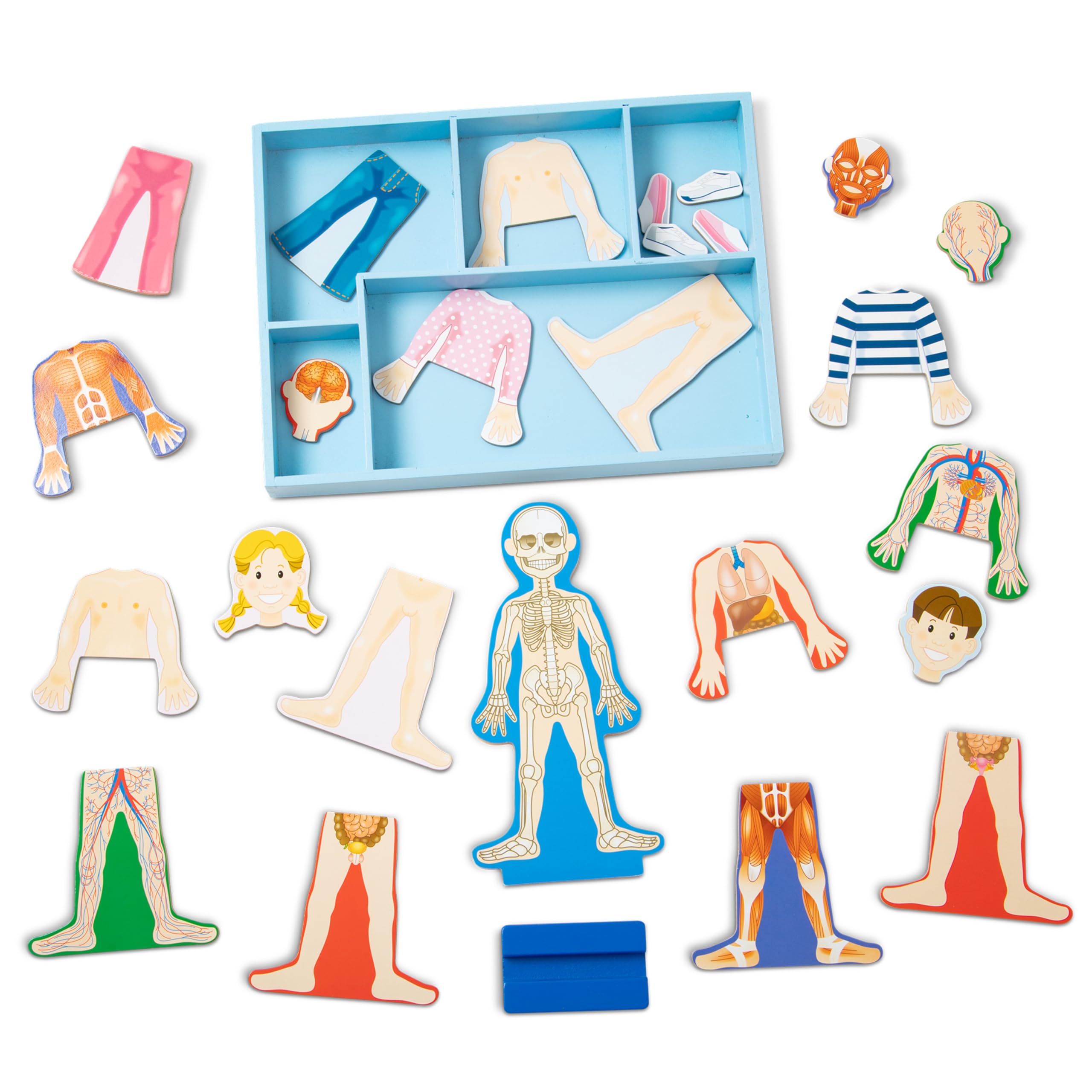 Mua Melissa & Doug Magnetic Human Body Anatomy Play Set With 24 ...