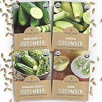 Amazon.com : Organic Cucumbers Seeds Home Garden Variety Pack - Non-GMO ...