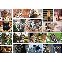 Amazon.com: Cute Kittens Jigsaw Puzzle 500 Piece Cute Cat Lover Collage ...