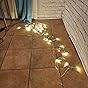 Amazon.com: 16 Colors Changing Curtain Lights, 250 LED 9.8 X 8.8 Feet ...