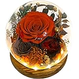 Amazon.com: Valley of Rain & Forest Long-Lasting Real Flowers, Unique ...