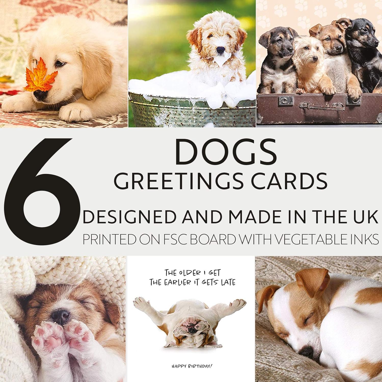 Dogs Greeting Cards Mixed Pack – 1 Card Each of 6 Designs – BigaMart