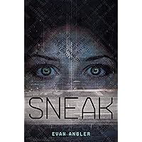 Amazon.com: Swipe (Swipe Series, 1): 9781400318360: Angler, Evan: Books