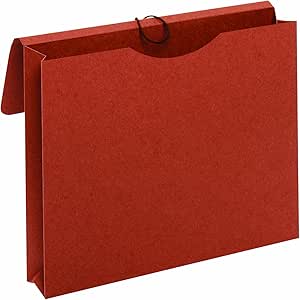 Amazon.com : Globe-Weis Paper File Envelope, 2-Inch Expansion, Letter ...