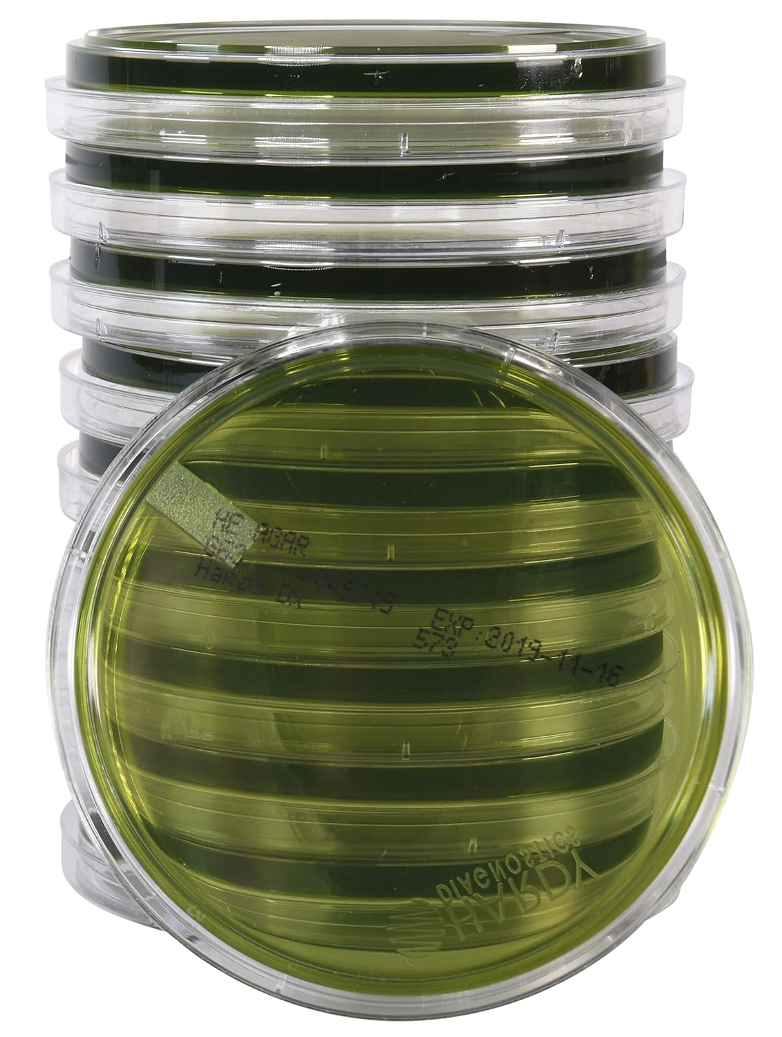 15x100mm Plate 18ml Fill Hektoen Enteric Agar Order by The Package of ...