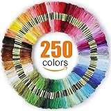 Amazon.com: ATDAWN Rainbow Color Embroidery Thread,Cross Stitch Threads ...