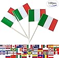 Amazon.com: JBCD 100 Pcs Italy Flag Toothpicks Italian Flags Cupcake ...