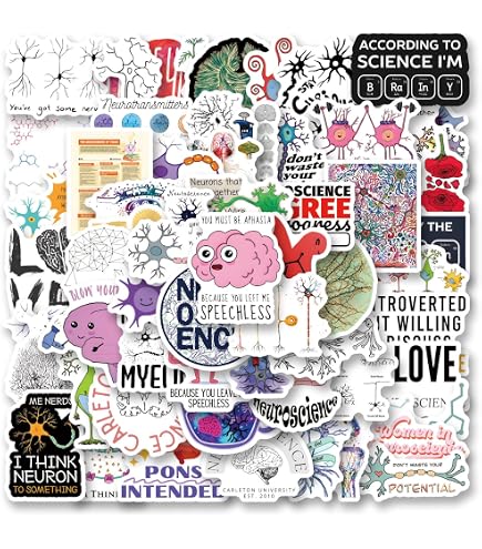 Colorful Scrapbook Stickers 120 Pcs Colorful Brain Stickers Pack ...