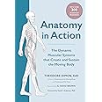 Anatomy in Action: The Dynamic Muscular Systems that Create and Sustain ...
