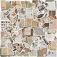 Amazon.com: Icicrim Vintage Stickers for Journaling Water Bottles Luggage Phone, 50PCS Retro ...
