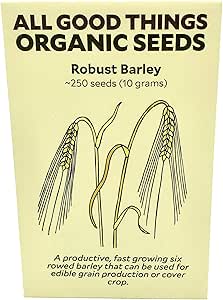Amazon.com : Robust Barley (Hordeum vulgare) Seeds (~250): Certified ...