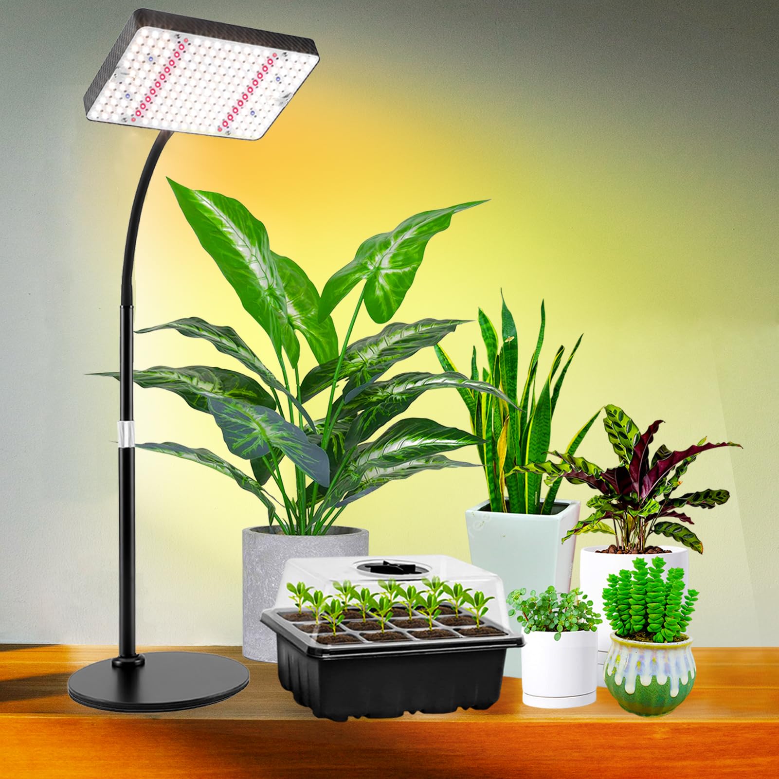 Mua Table Top Grow Light 25 Watt, Desk Grow Lights for Indoor Plants ...