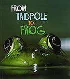 Amazon.com: Tadpole Rex (9780152059903): Kurt Cyrus: Books