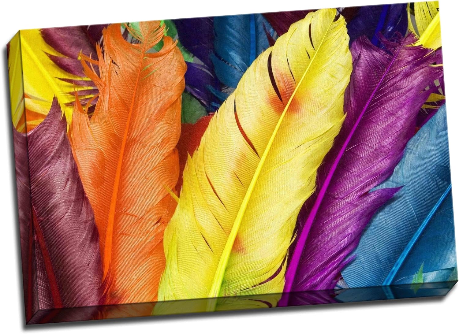 Amazon.de: Abstrakt Bunte Federn Canvas Art Print Poster 76, 2 x 50, 8 ...