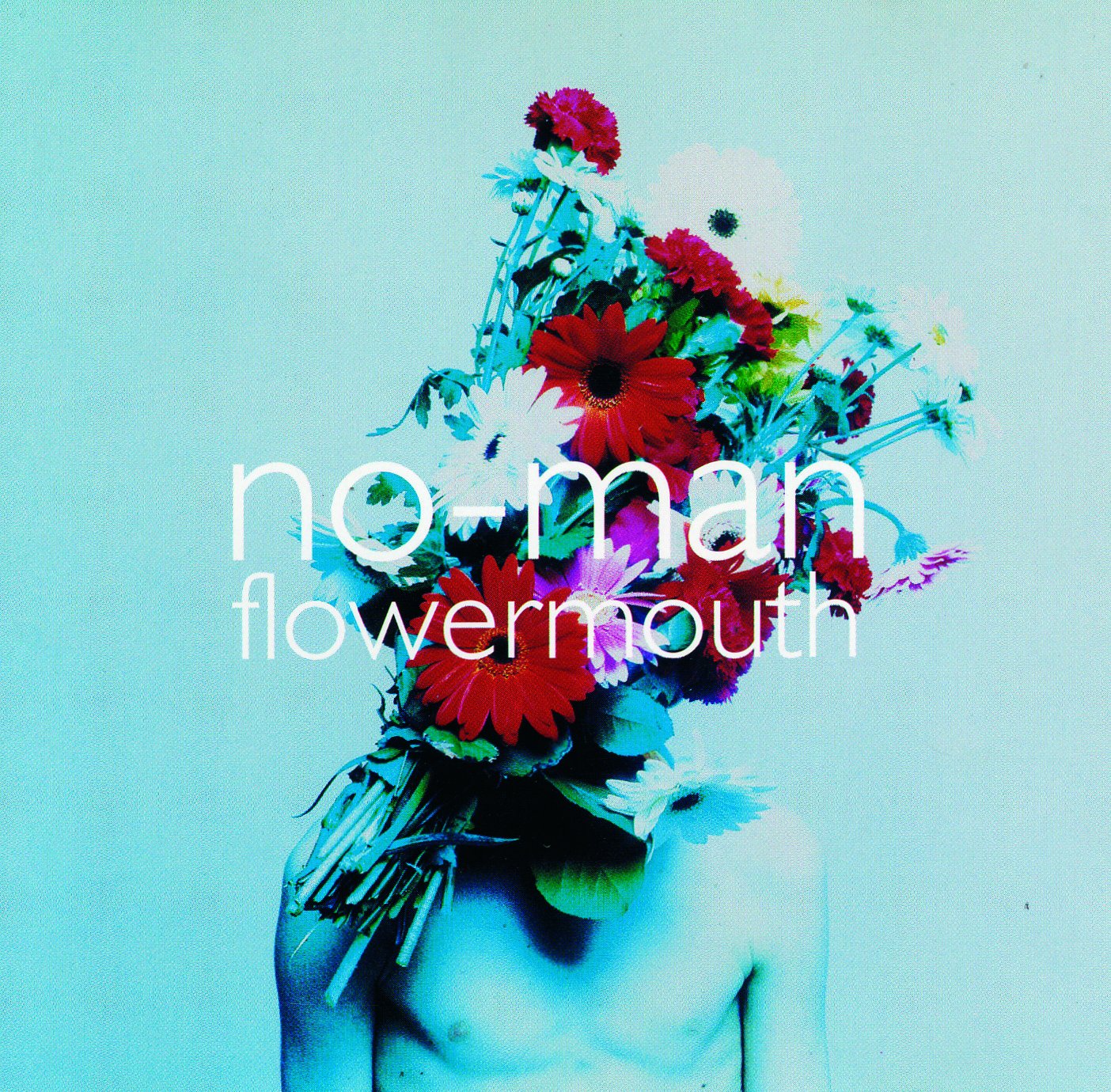Flowermouth : No-Man: Amazon.fr: Musique