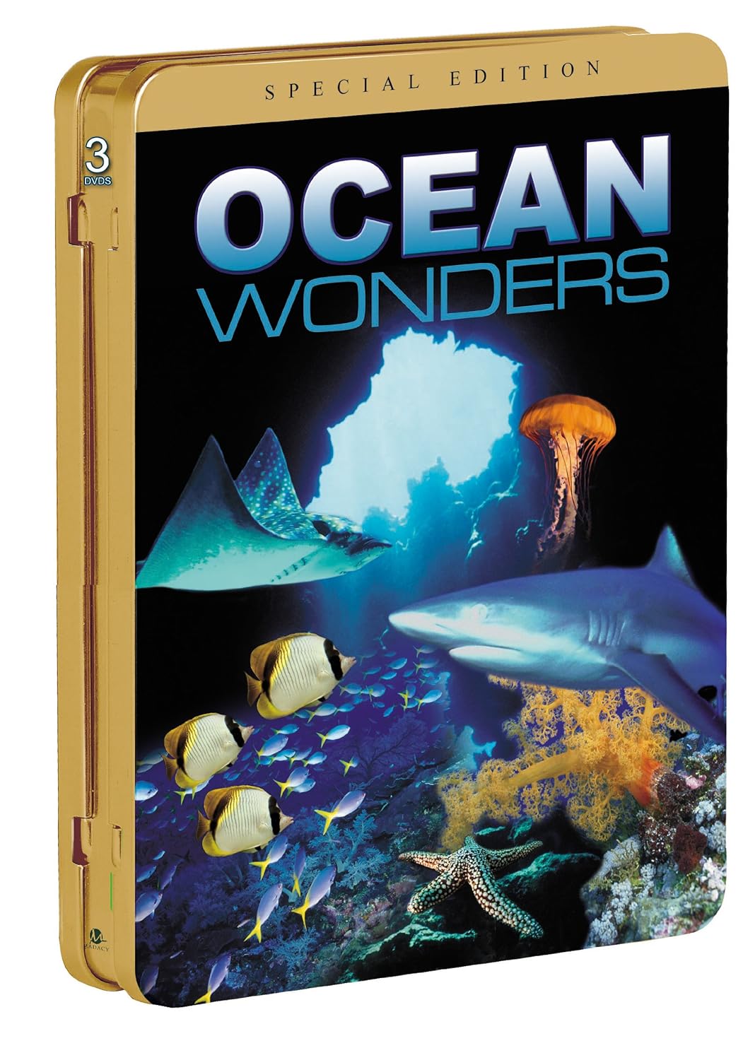 Amazon.com: Ocean Wonders: None, John Stoneman: Movies & TV