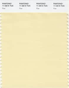 Amazon.com: Pantone 11-0619 TCX Smart Color Swatch Card, Flan: Home ...