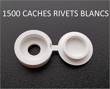 1500 Caches rivets ou vis blancs: Amazon.fr: Bricolage