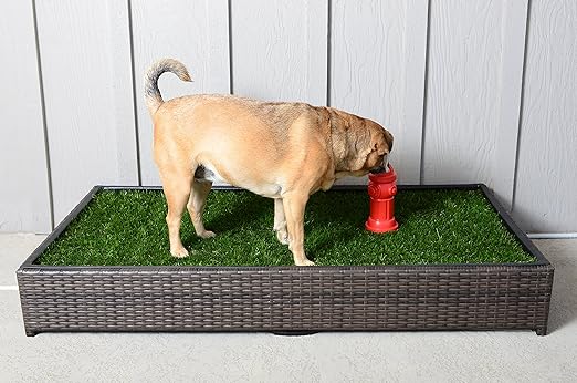 Porch Potty Large Porch Potty Standard: Amazon.co.uk: Pet Supplies