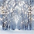 Amazon.com : Funnytree 8x8ft Winter Scene Backdrop Wonderland Snowflake Photography Background ...
