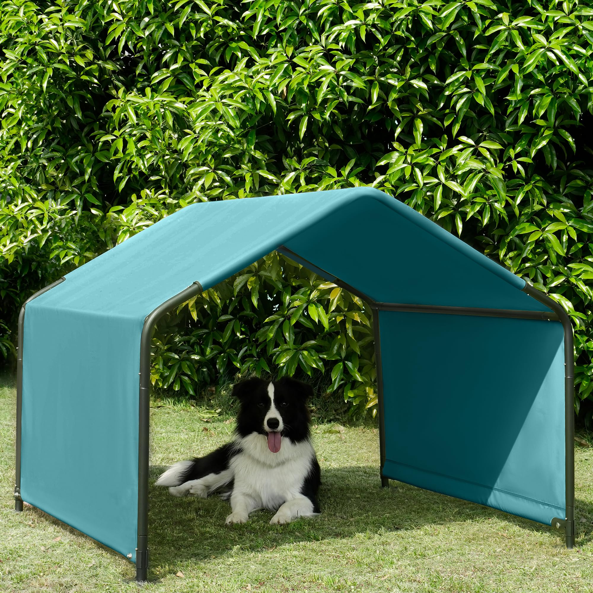 Beimo Dog Shade Shelter Outdoor Teal Tent for Large Medium Dogs, 4'x4 ...