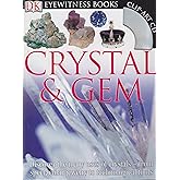 DK Eyewitness Books: Fossil: Taylor, Paul: 9780756606824: Amazon.com: Books