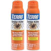 Amazon.com: TERRO T2302 Spider, Ant, Roach, and Other Insects Killer ...