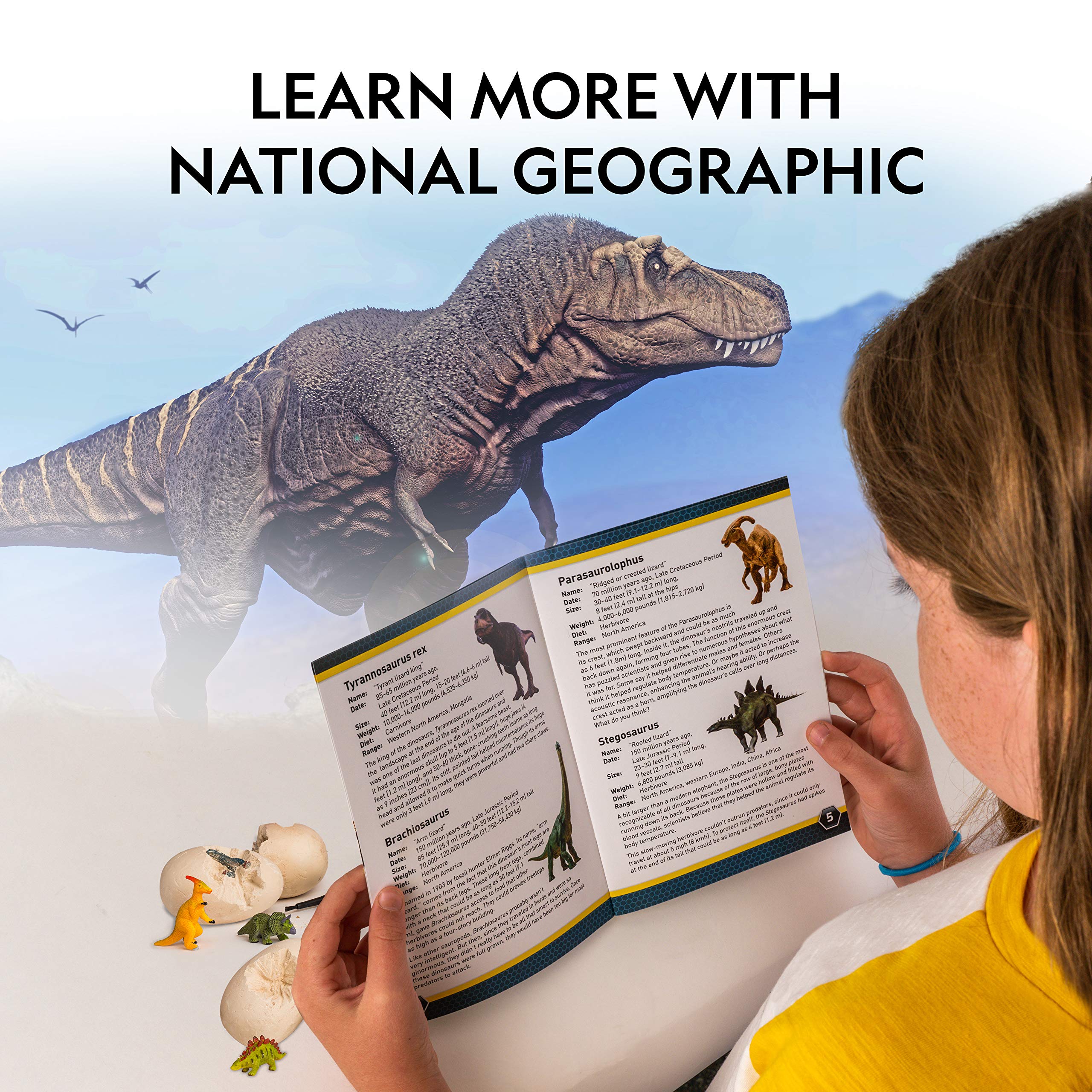 Mua NATIONAL GEOGRAPHIC Dinosaur Dig Kit - 12 Dino Shaped Dig Bricks ...