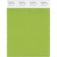 PANTONE Smart 15-0341X Color Swatch Card, Parrot Green - Wall Decor ...