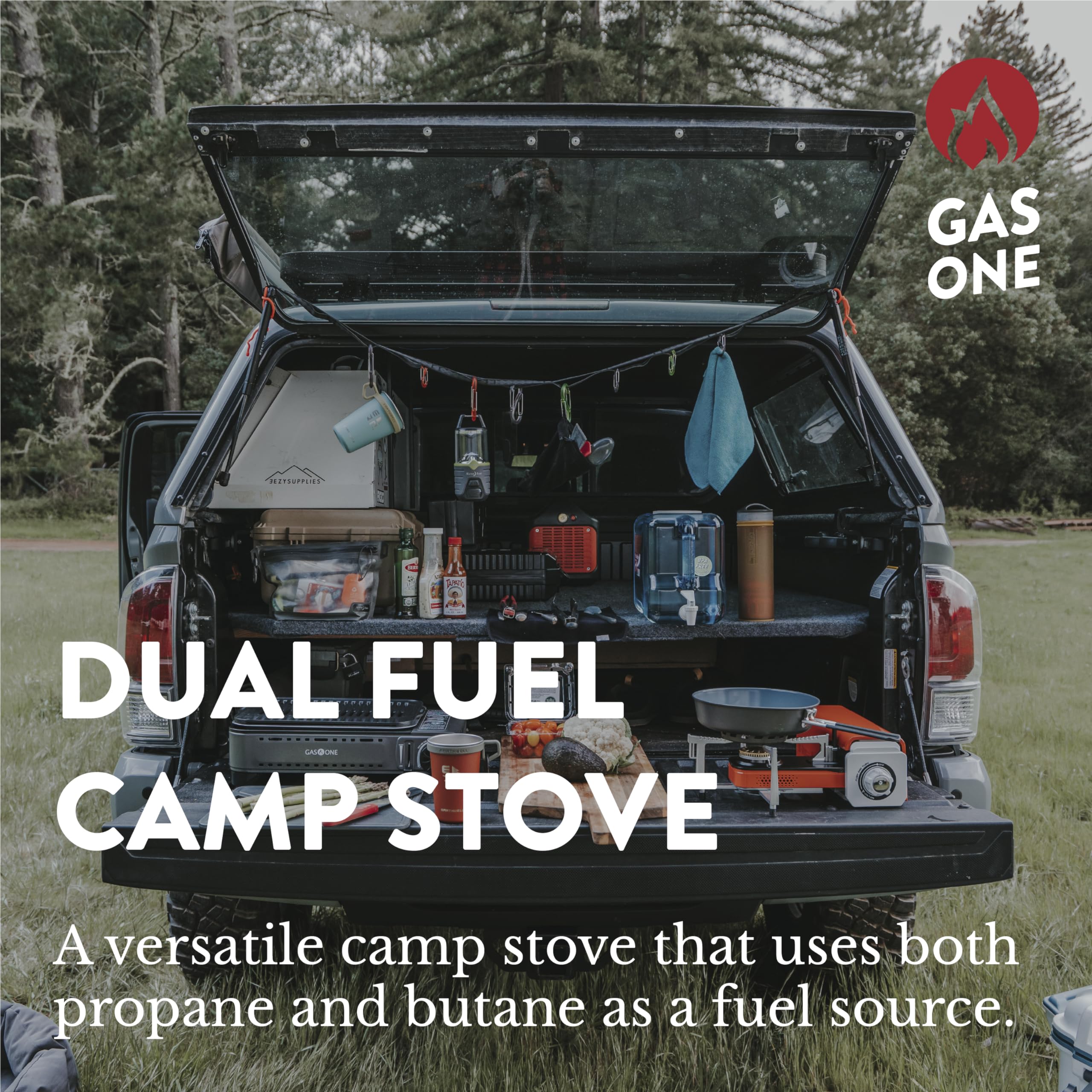 Mua Gas ONE GS-3900PB Dual Fuel Portable Stove 15,000BTU with Brass ...