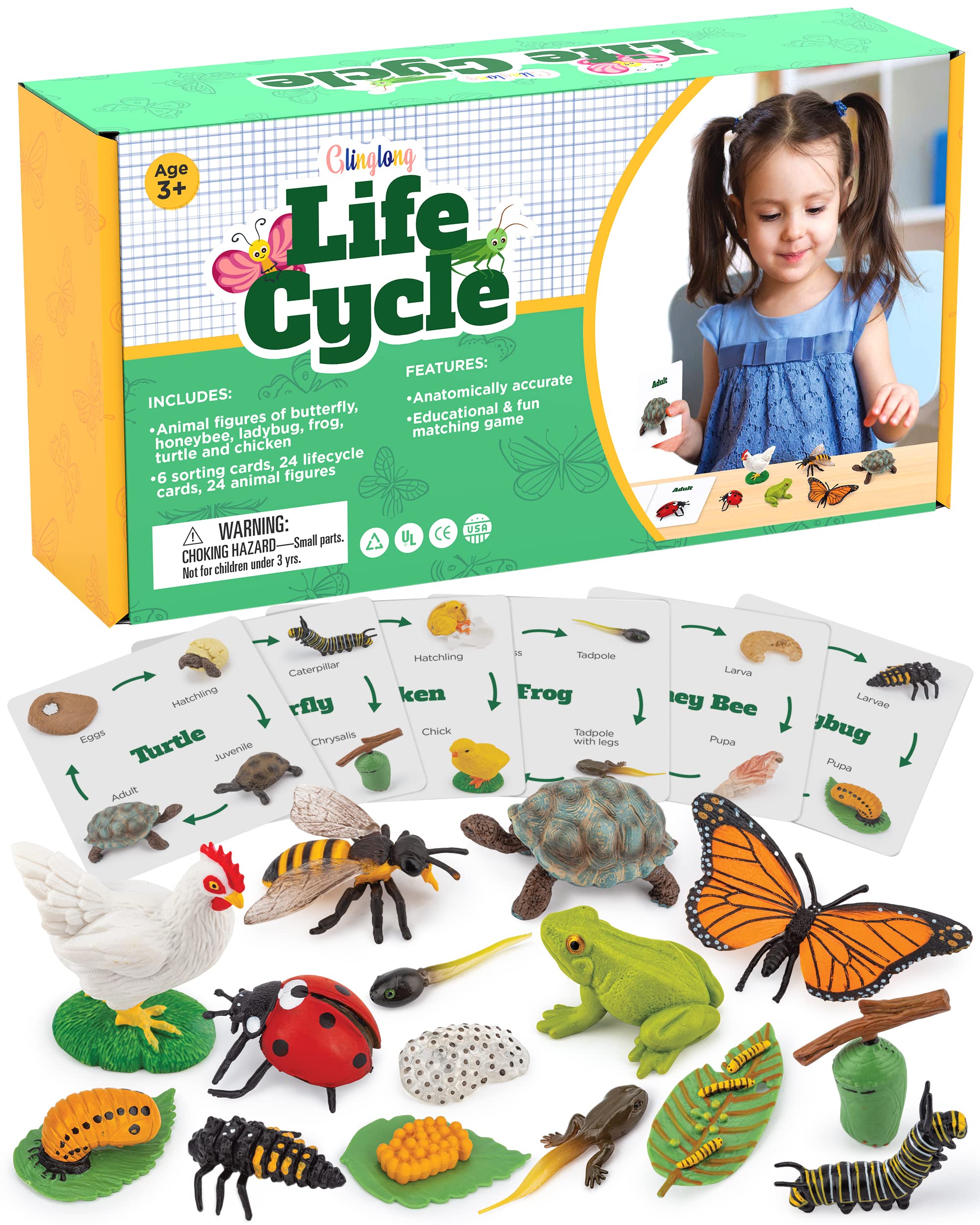 Mua Life Cycle Science Kit Montessori Realistic Figurine, Kids Animal ...