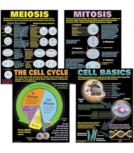 Dna Rna New Classroom Biology Science Poster Language