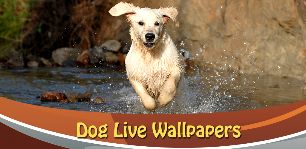 Amazon.com: Dog Live Wallpapers: Appstore for Android