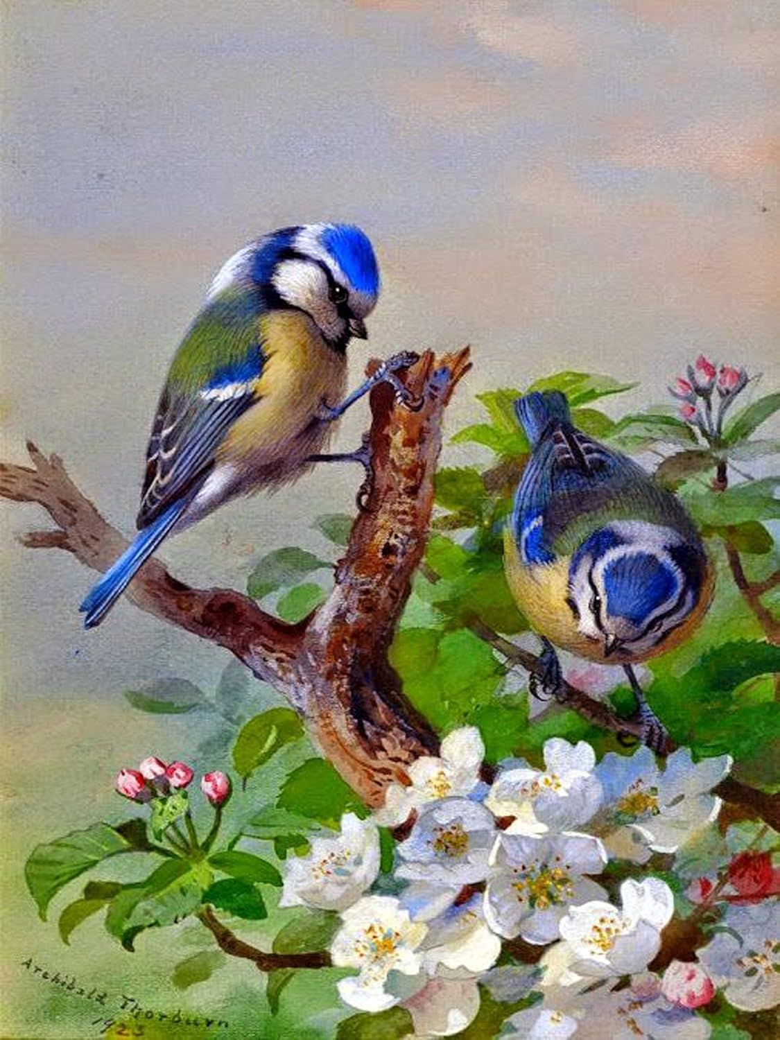 Titmouse on Tree Bird Tile Mural Kitchen Bathroom Wall Backsplash ...