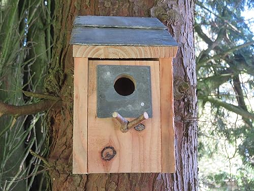 Bird Box - 32mm Hole: Amazon.co.uk: Handmade