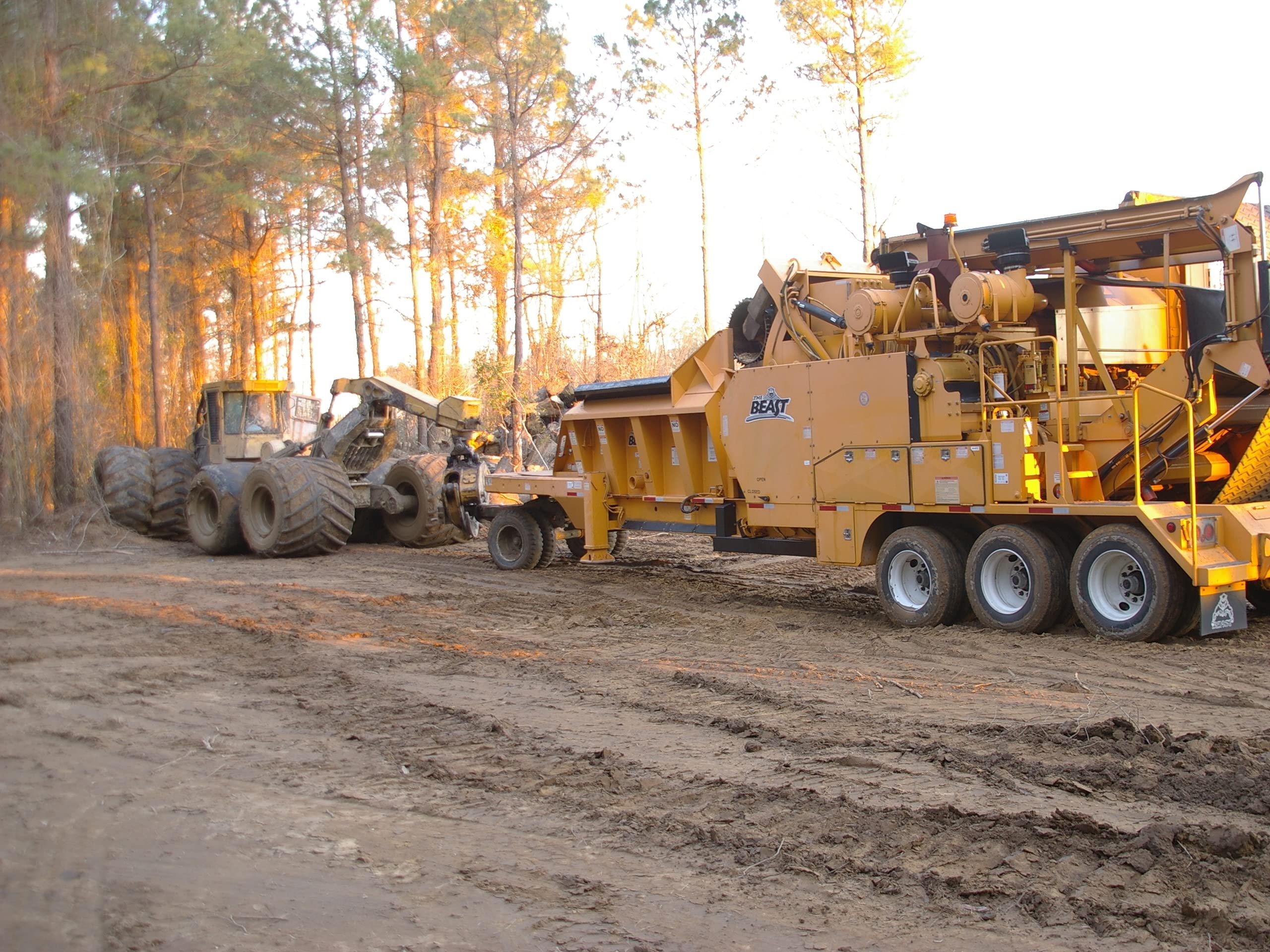 Watch Swamp Loggers - Season 1 | Prime Video