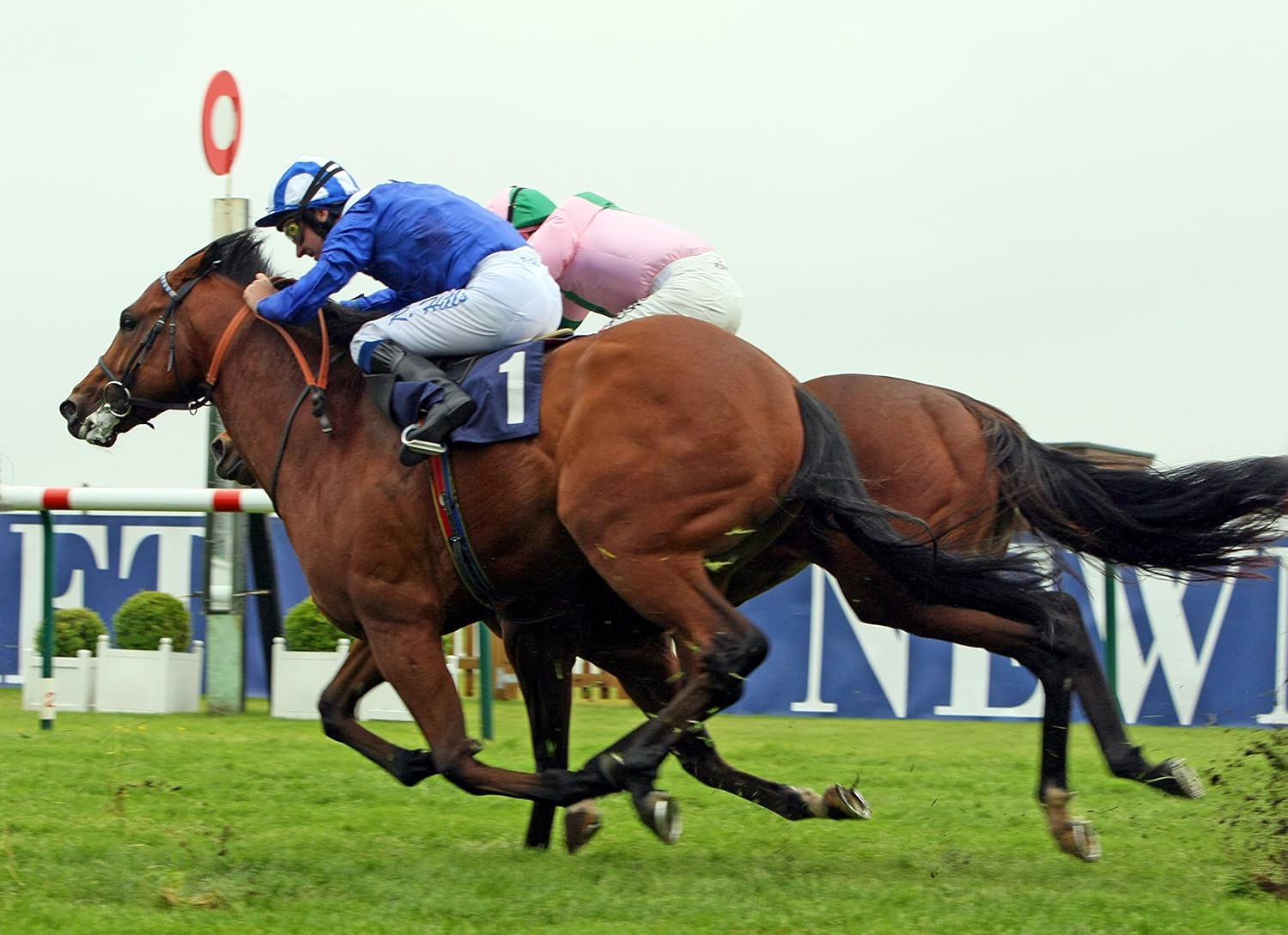Horse Racing Card Amazon co uk Office Products Horse Racing Card Amazon co uk Office Products