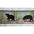 York Wallcoverings Lake Forest Lodge WL5627B Black Bear Border, Multi ...