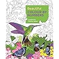 Beautiful Colour by Numbers: 9781788887687: Amazon.com: Books